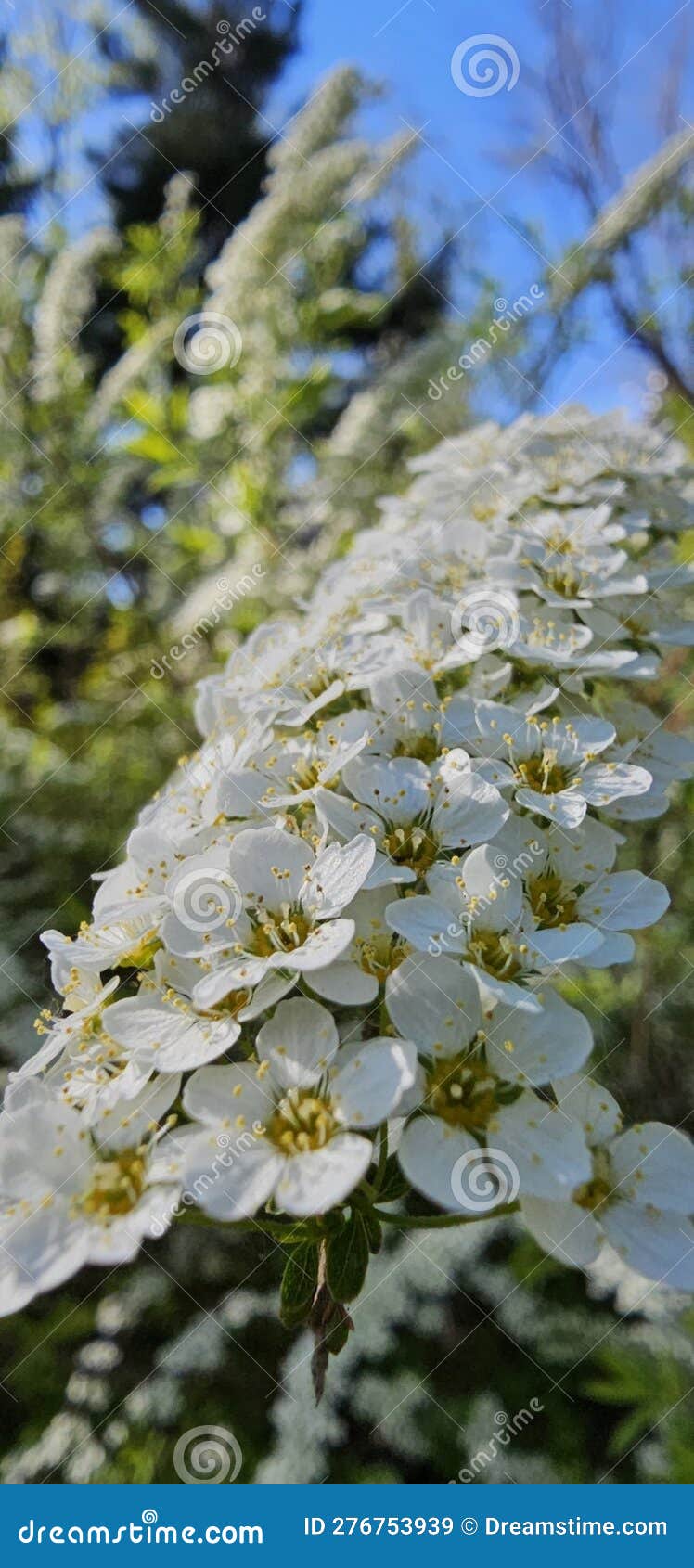 Magic Nature and Unlimited Sky Stock Image - Image of magic, nature ...