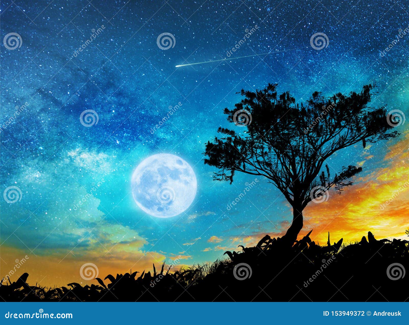 A Magic Night Lanscape with Starry Sky Stock Photo - Image of comet ...