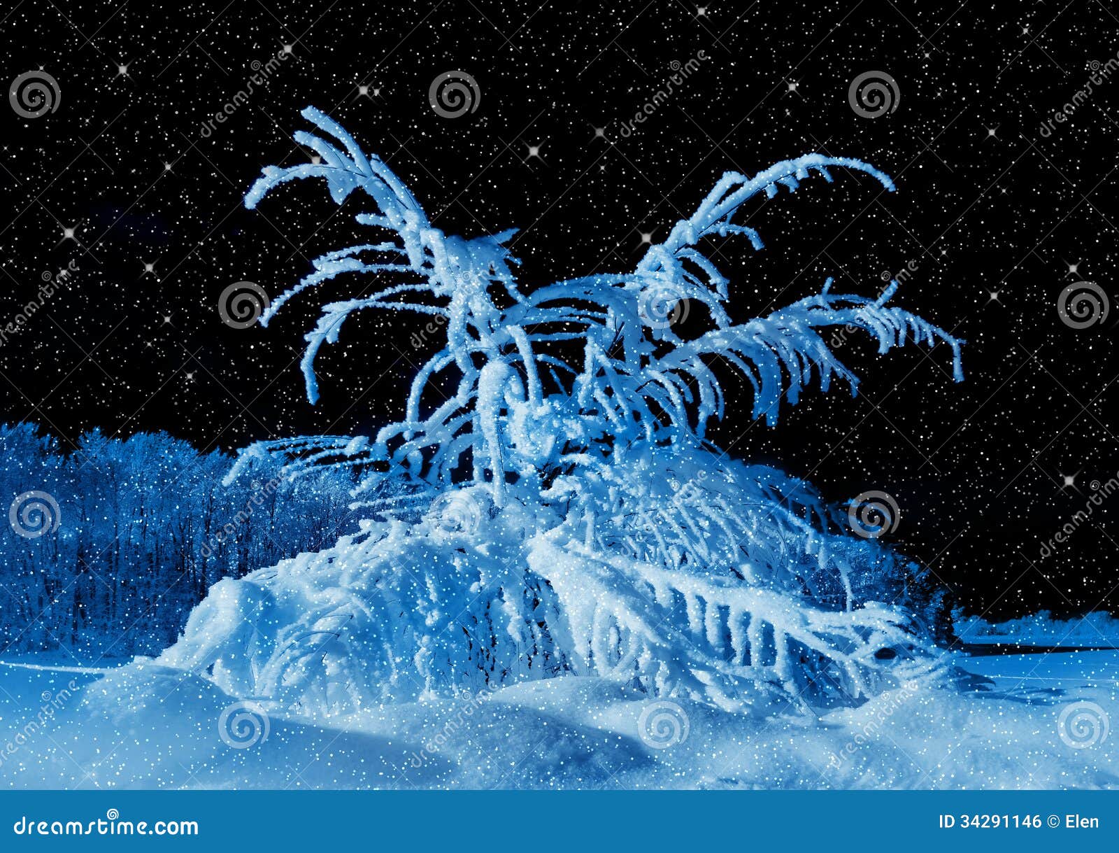 Magic Scenery Stock Images - Download 19,583 Photos