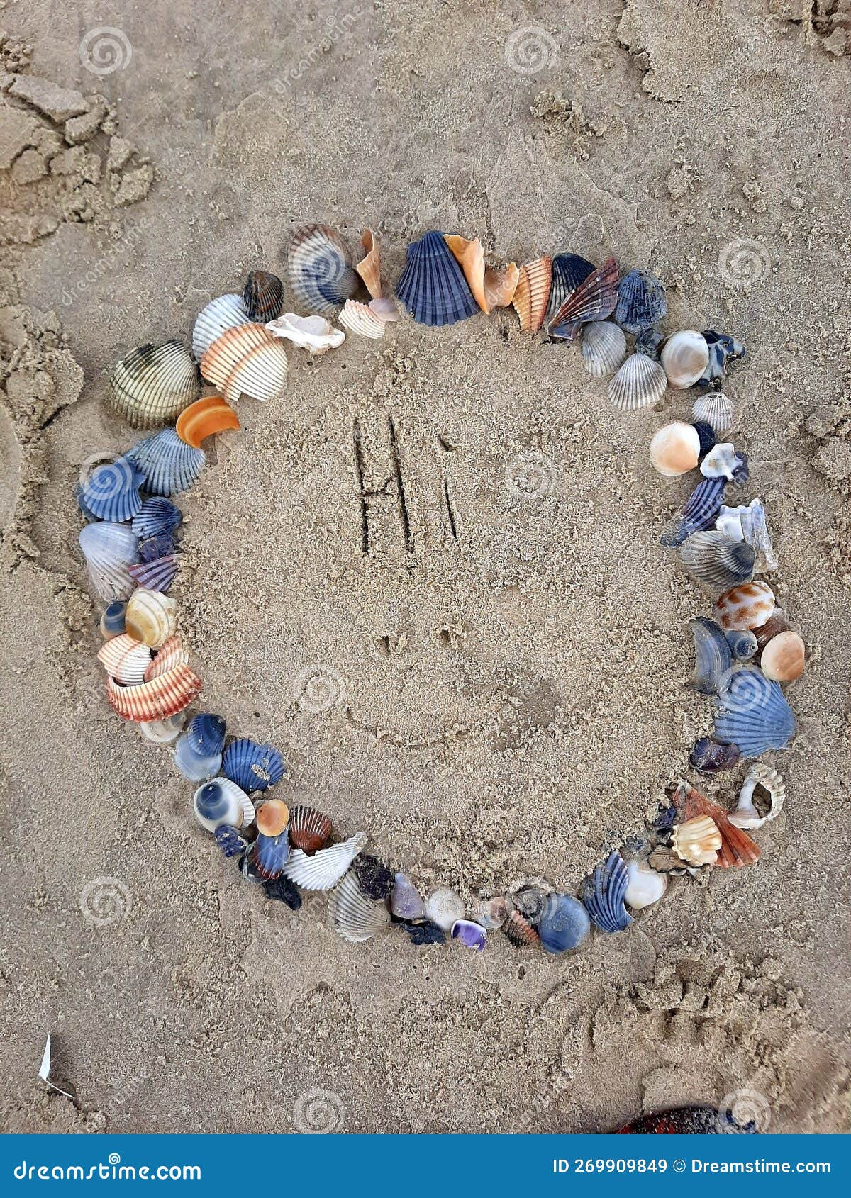 The Magic of Oceans Beautiful Seashells Stock Image - Image of ...