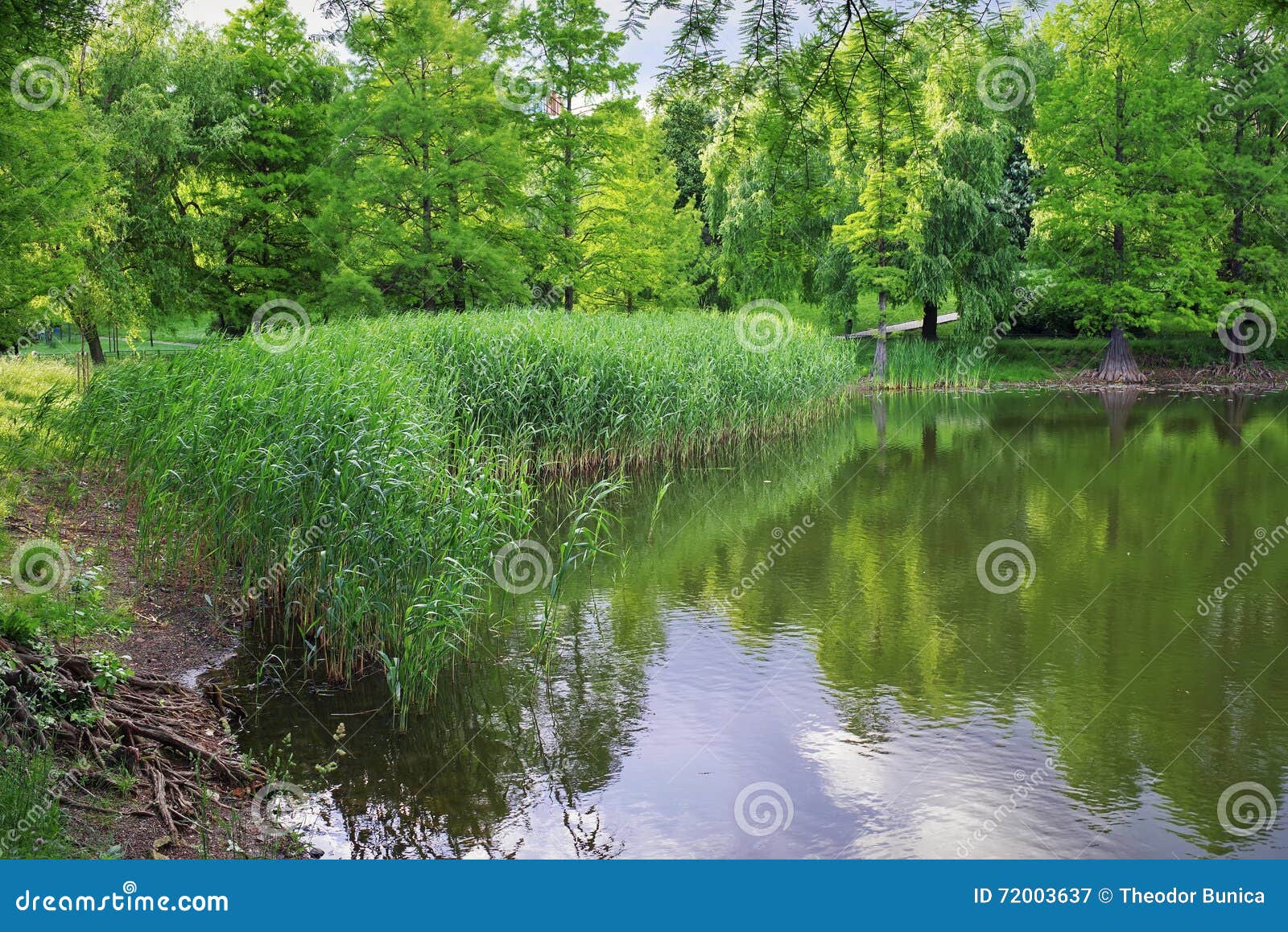 Summer Landscape. Magic Place in the Park. Relaxation Corner Stock ...