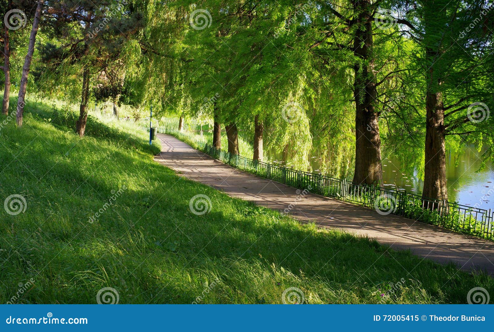 Summer Landscape. Alley in the Park. Magic Place. Relaxation Corner ...