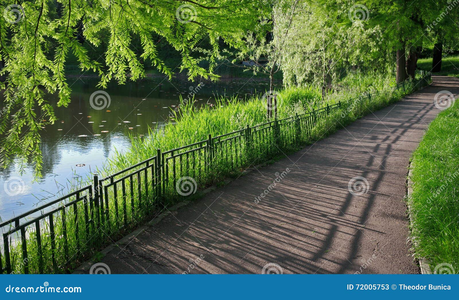 Summer Landscape. Alley in the Park. Magic Place. Relaxation Corner ...