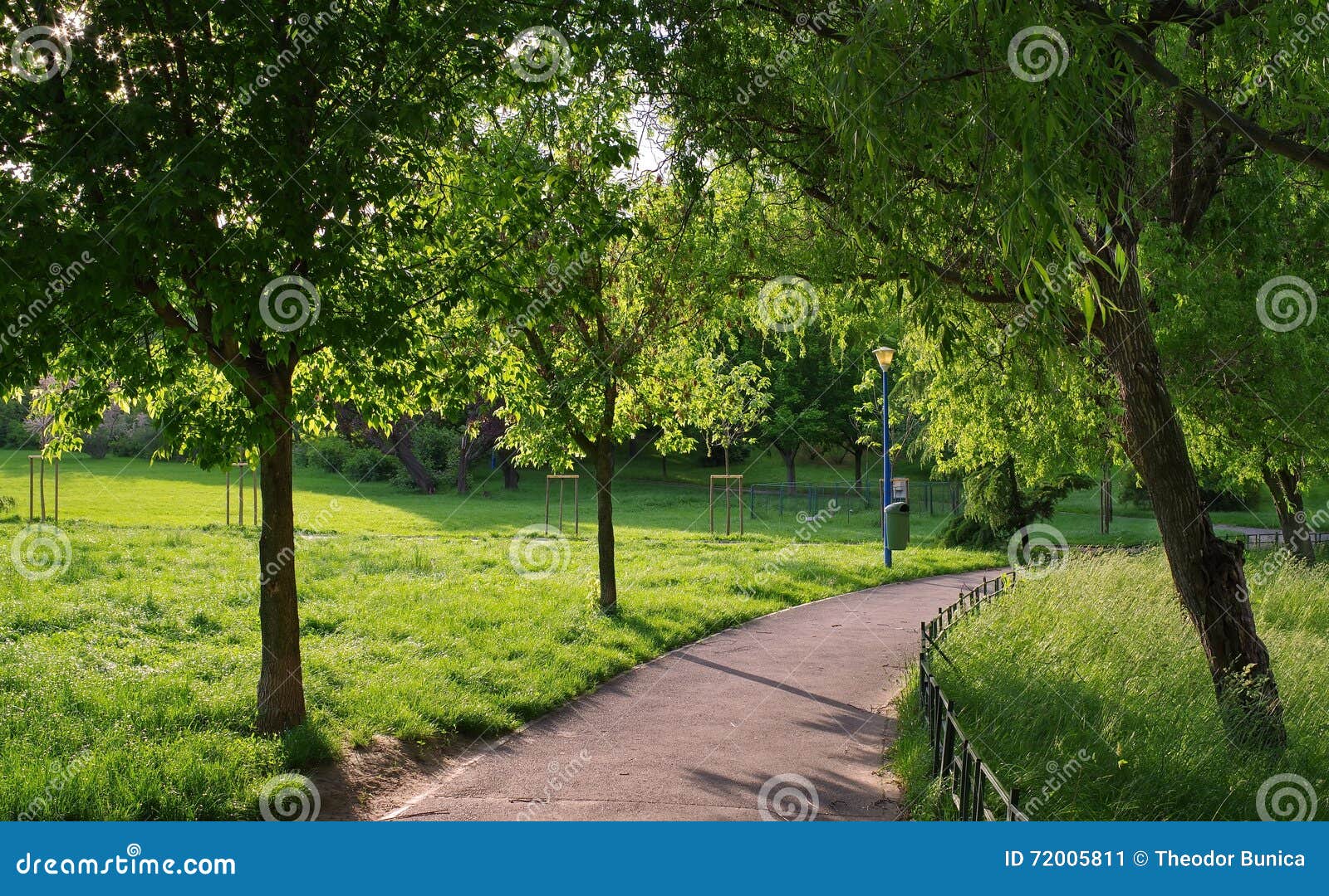 Summer Landscape. Alley in the Park. Magic Place. Relaxation Corner ...