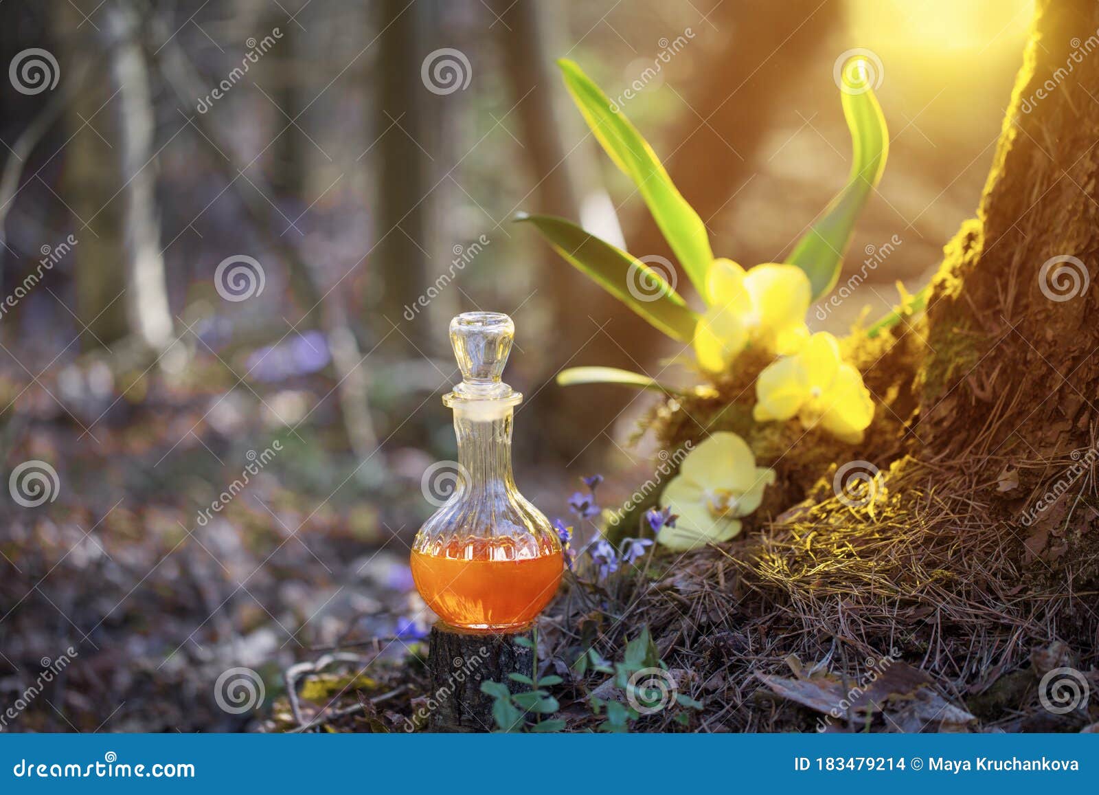 Magic Potion in Bottle in Forest Stock Photo - Image of green, alchemy ...