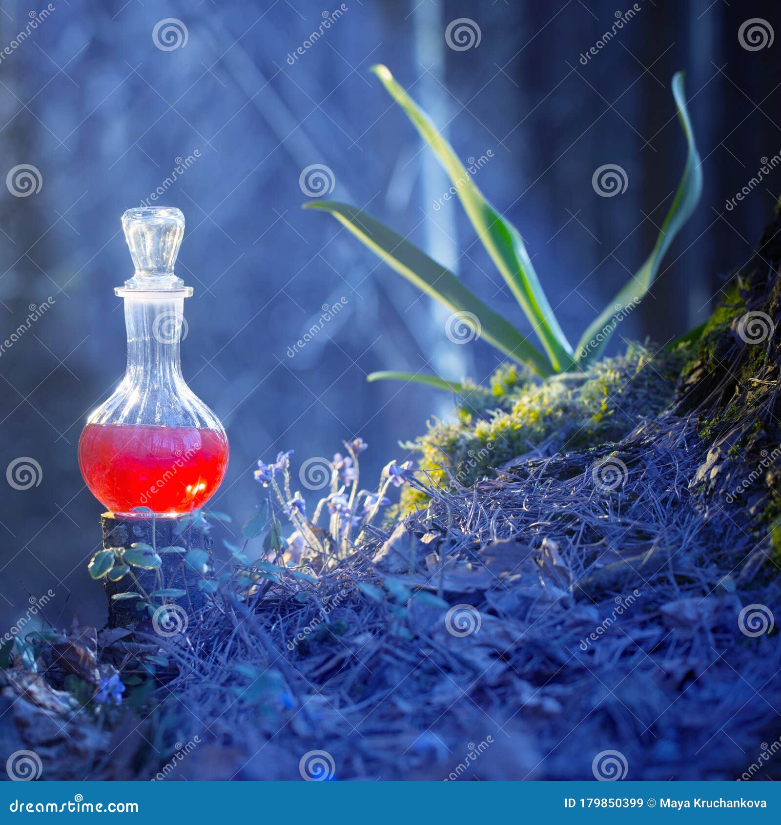 Magic Potion in Bottle in Fairy Forest Stock Image - Image of fairy ...