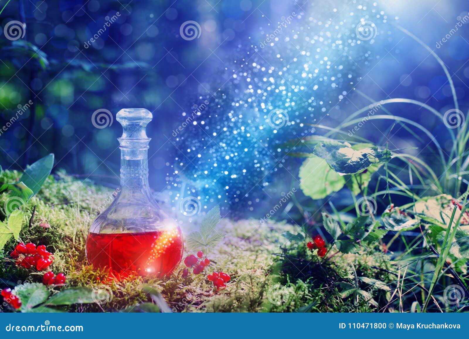 Magic Potion in Bottle in Forest Stock Photo - Image of love, halloween ...