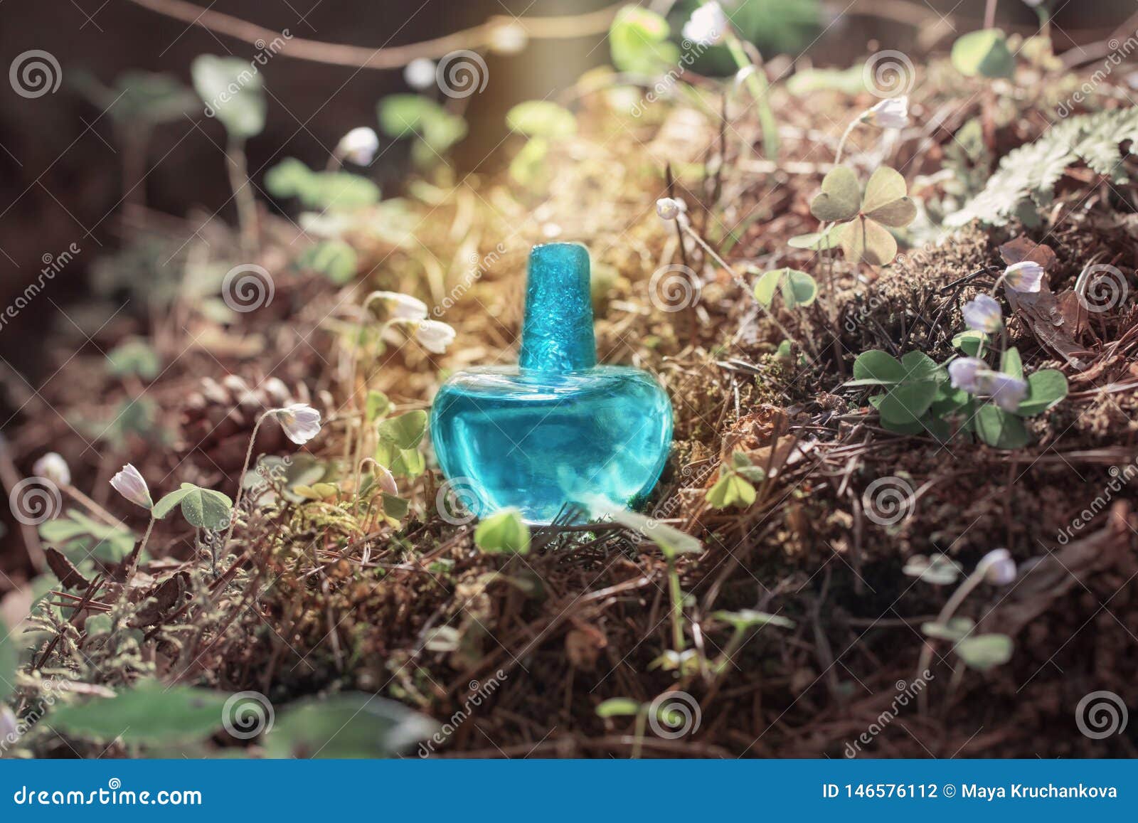 Magic Potion on Bottle in Forest Stock Photo - Image of love, herbs ...