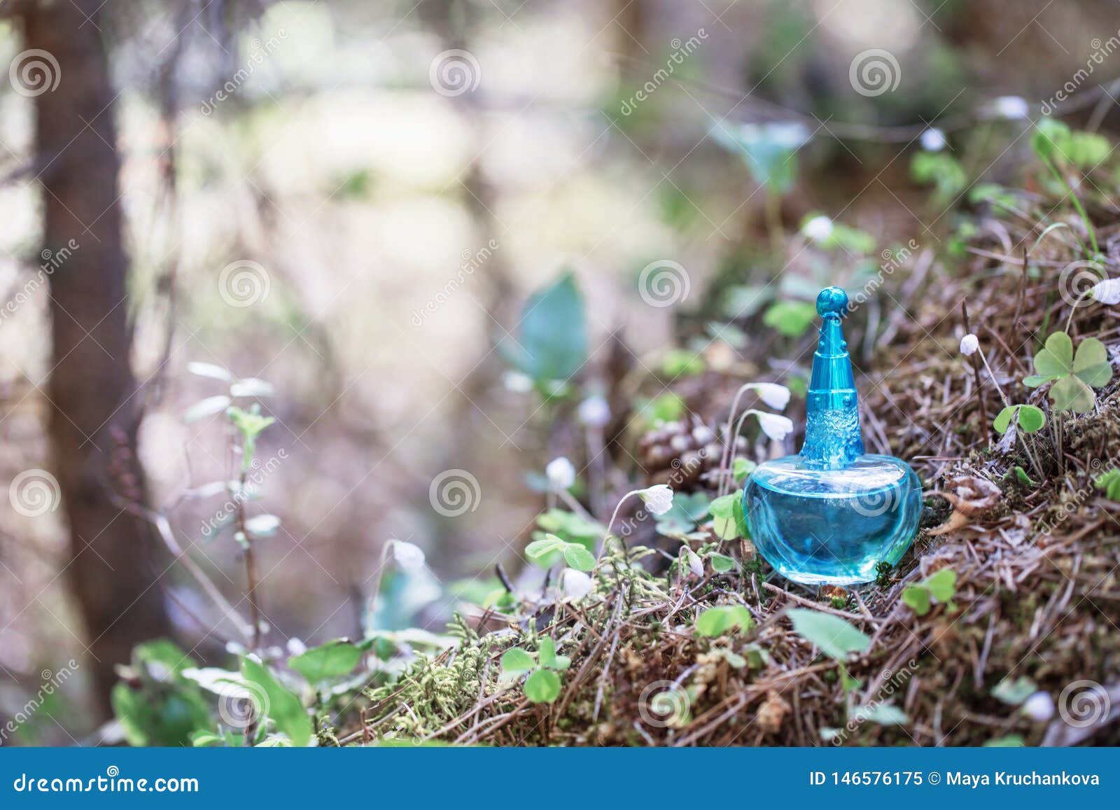 Magic Potion on Bottle in Forest Stock Image - Image of aromatherapy ...