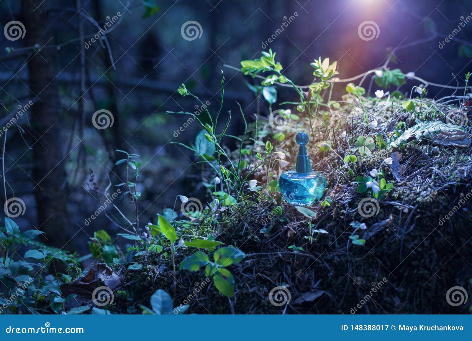 Magic Potion on Bottle in Forest Stock Image - Image of elixir, alchemy ...