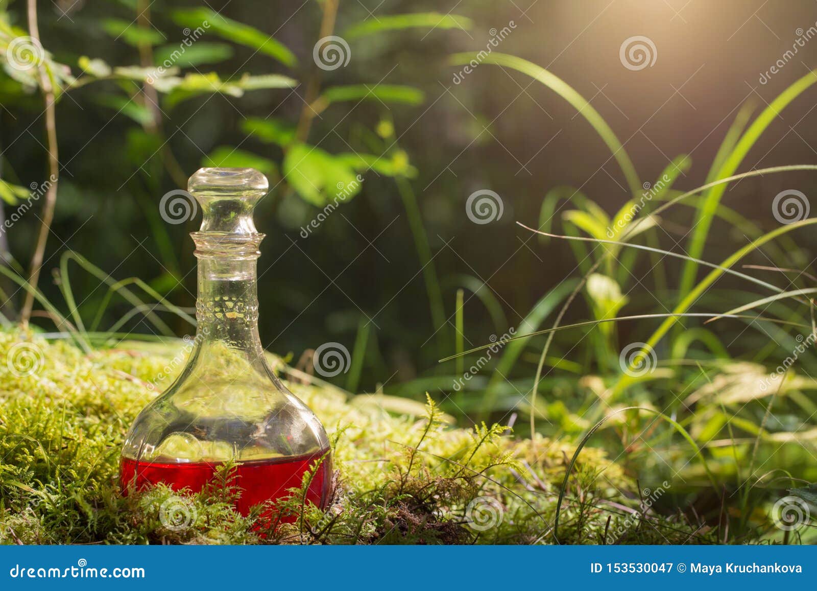 Magic Potion in Bottle in Forest Stock Image - Image of elixir, magical ...