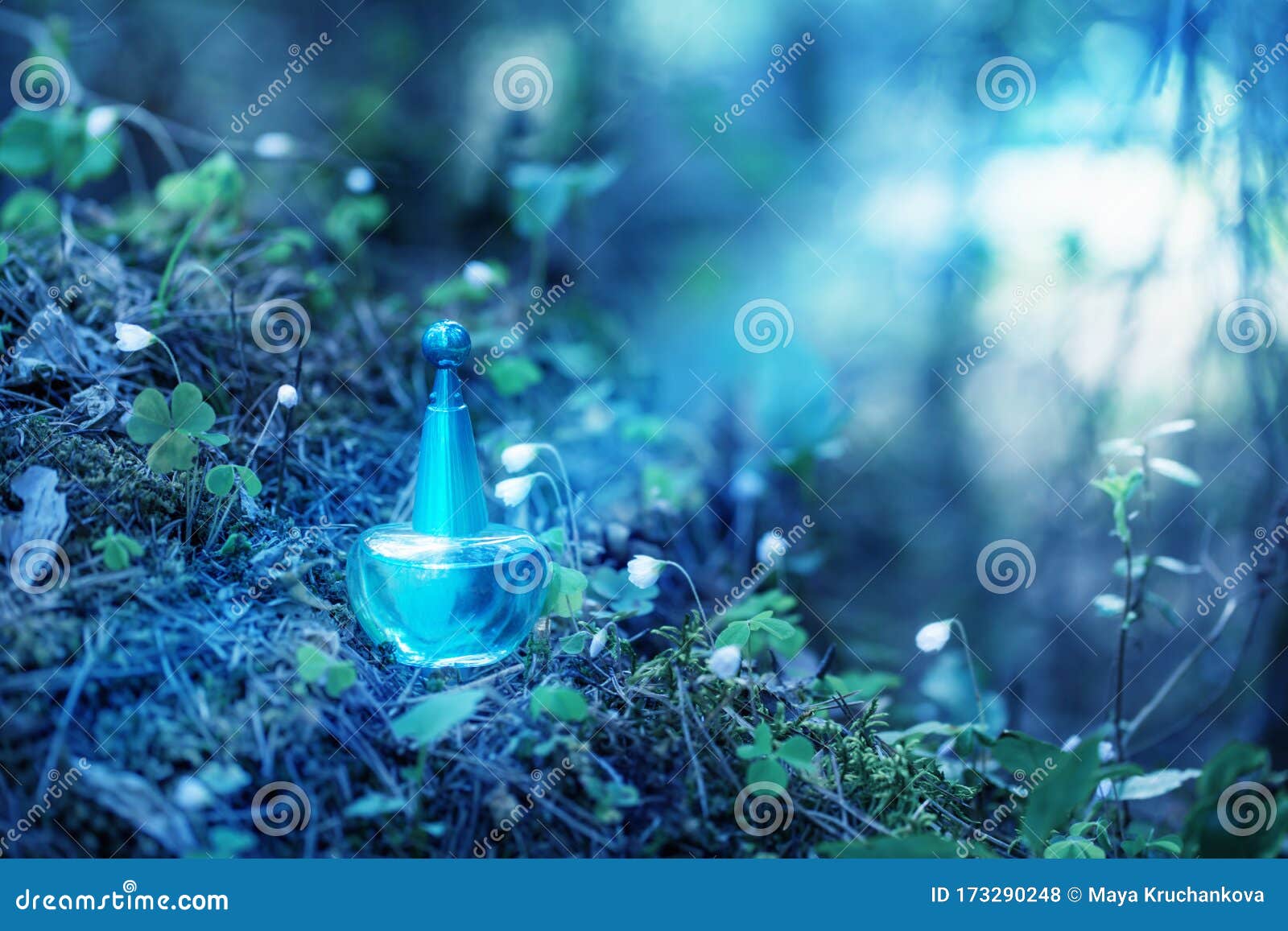 Magic Potion on Bottle in Forest Stock Photo - Image of fairy, magical ...