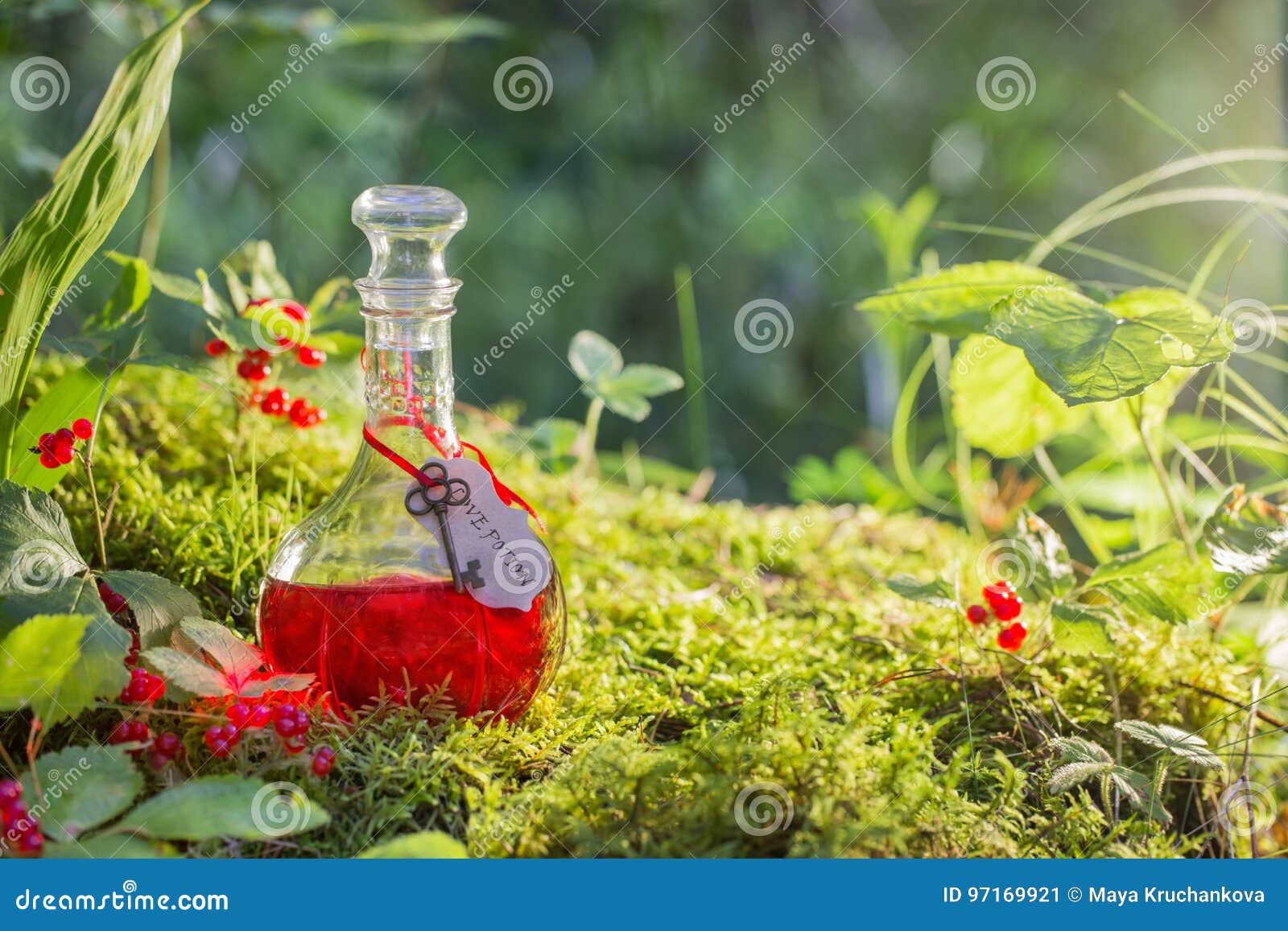 Magic Potion in Bottle in Forest Stock Image - Image of herbal ...