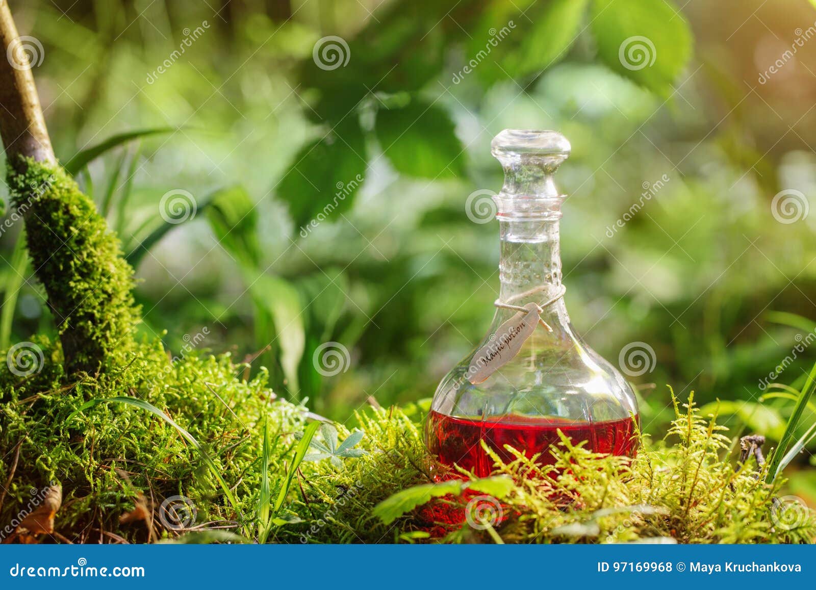 Magic Potion in Bottle in Forest Stock Photo - Image of beautiful ...