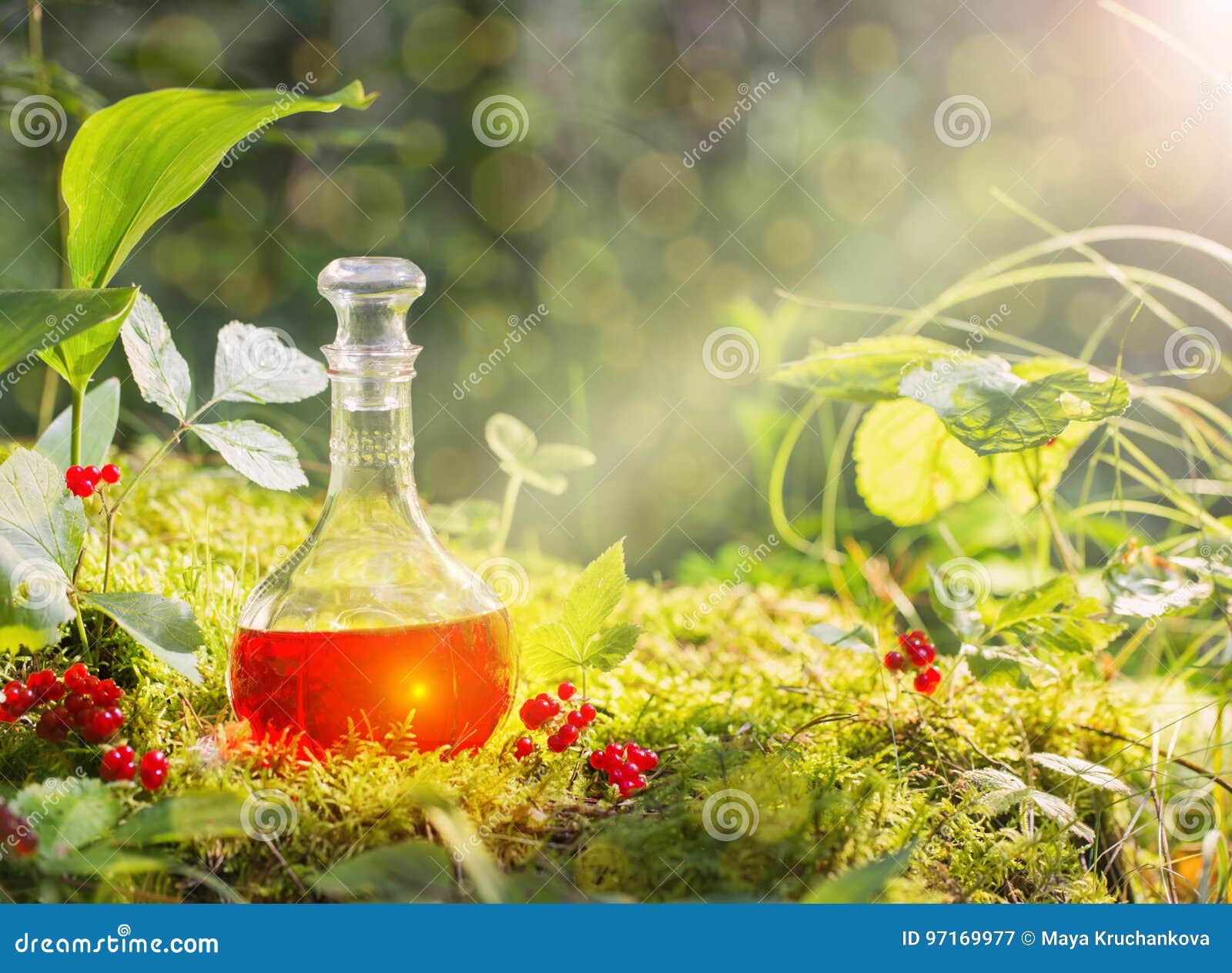 Magic Potion in Bottle in Forest Stock Image - Image of herbal, fantasy ...