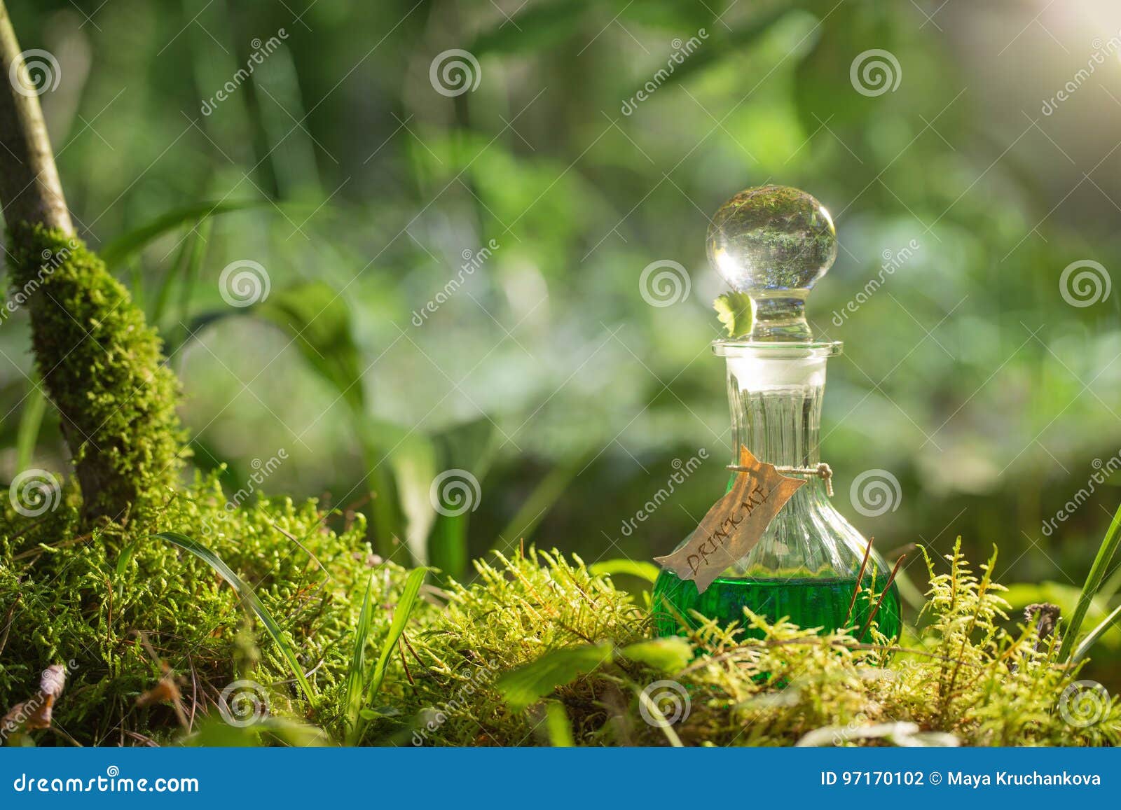 Magic Potion in Bottle in Forest Stock Photo - Image of fantasy, magic ...