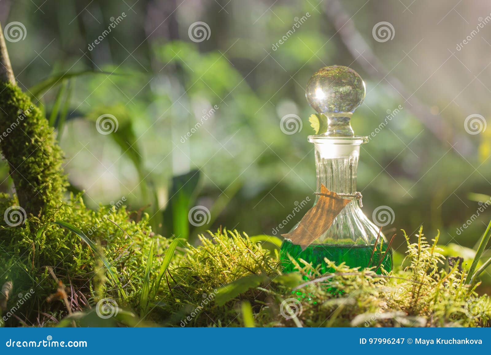 Magic Potion in Bottle in Forest Stock Image - Image of glass, fantasy ...