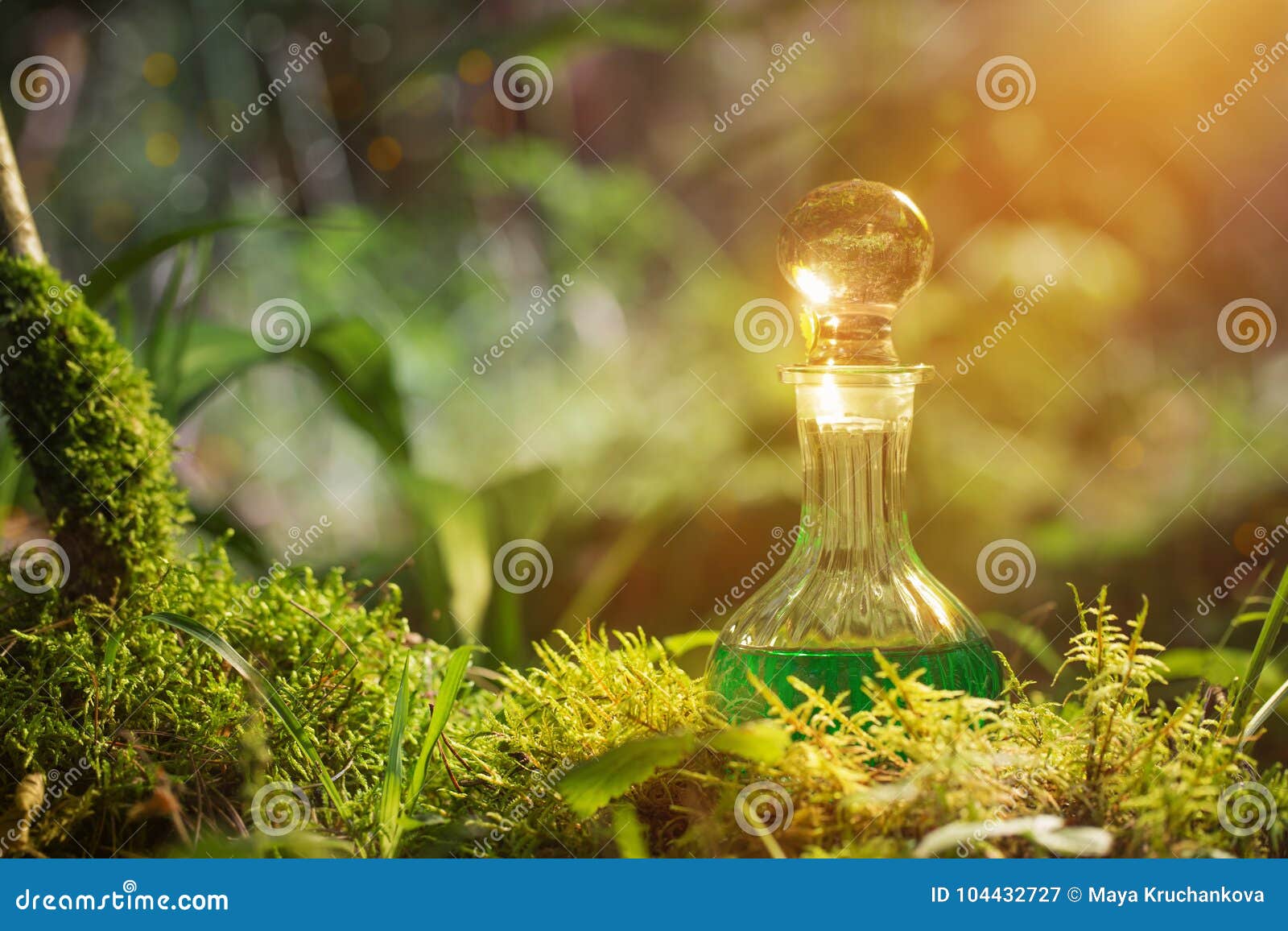 Magic Potion in Bottle in Forest Stock Image - Image of fantasy ...