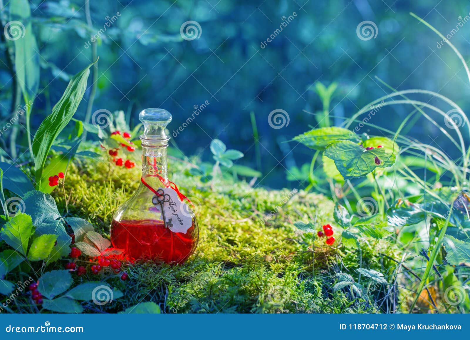 Magic Potion in Bottle in Forest Stock Photo - Image of magic, liquid ...