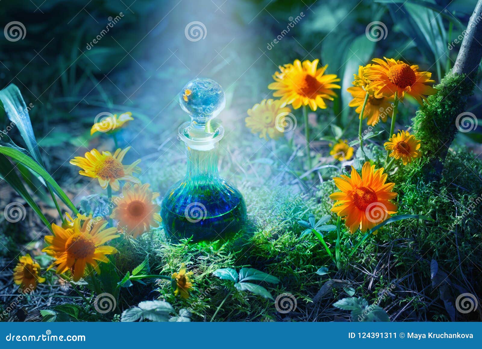 Magic Potion in Bottle in Forest Stock Image - Image of mysterious ...