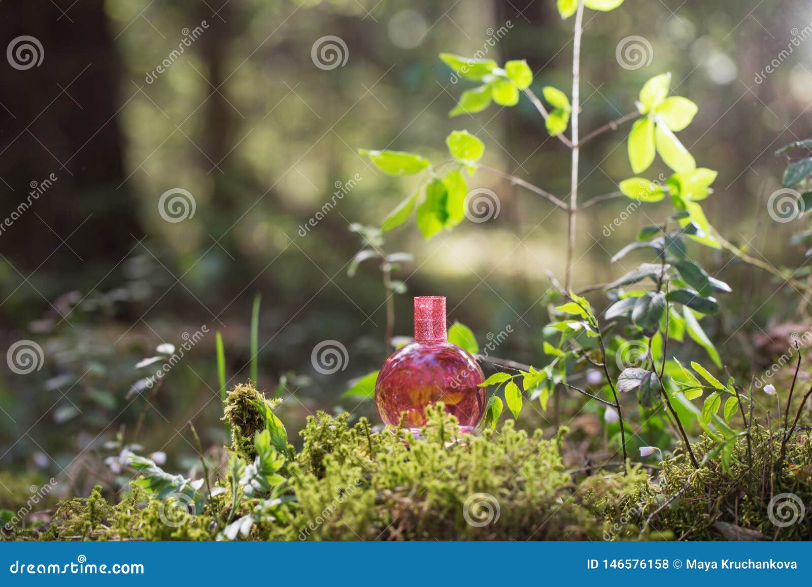 Magic Potion on Bottle in Forest Stock Photo - Image of alchemy ...