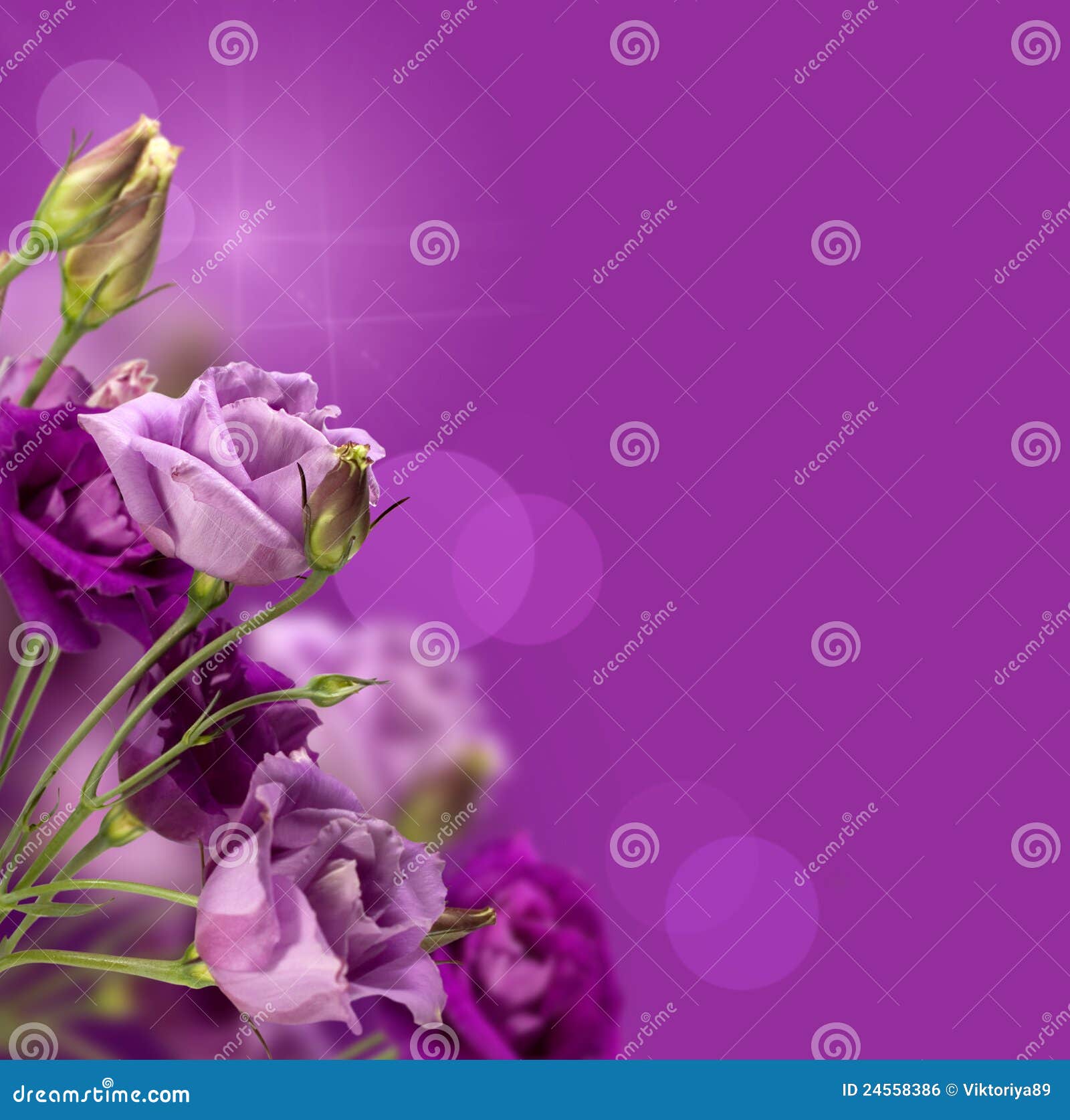 Magic purple flowers stock photo. Image of background - 24558386