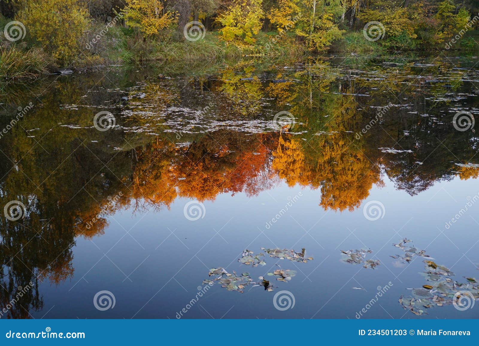 Magic Reflection of Autumn Forest Stock Image - Image of river, autumn ...
