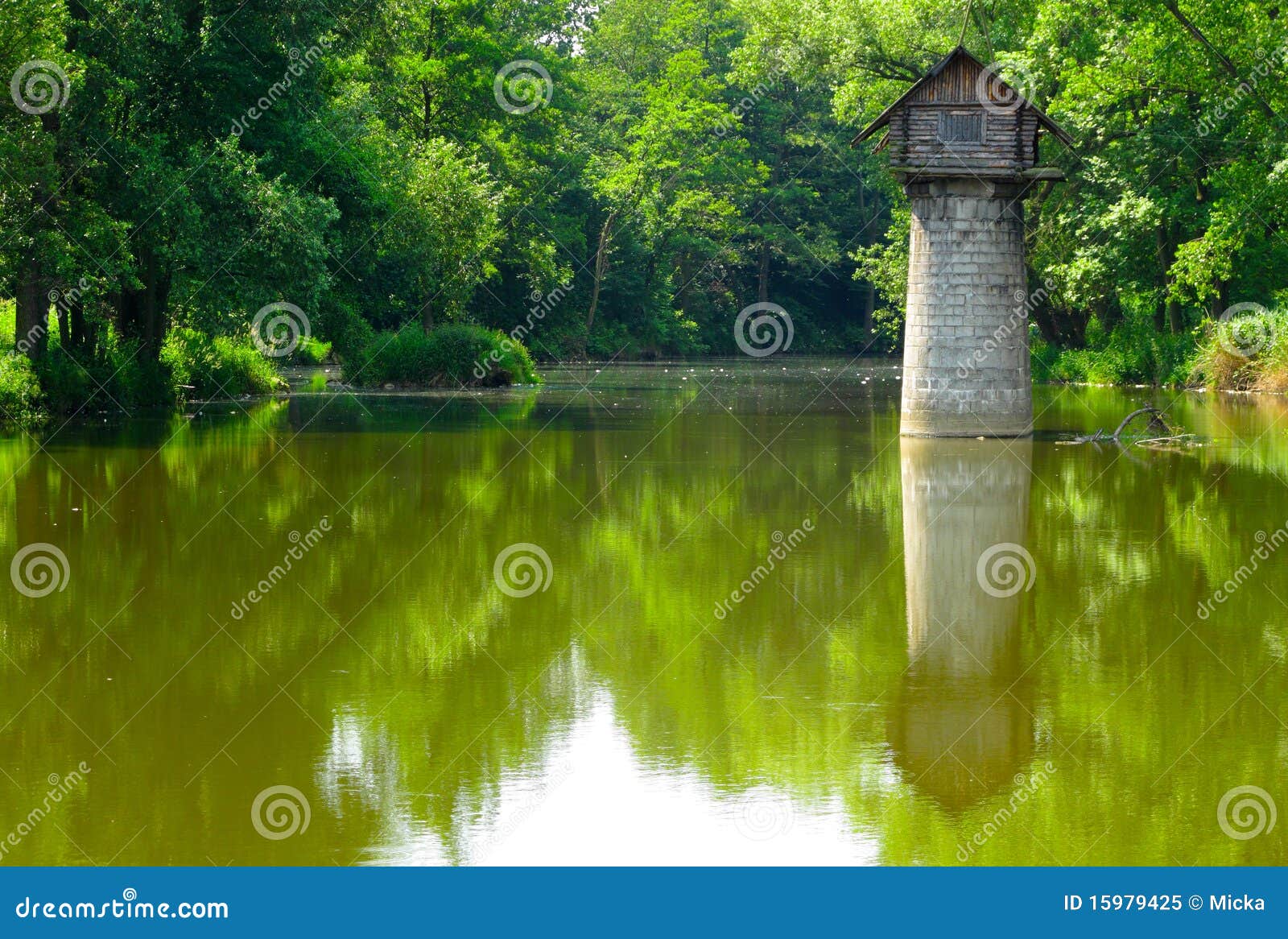 Magic river stock image. Image of leafs, landscape, environmental ...