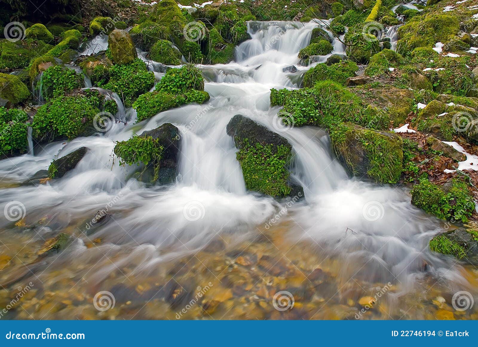 The magic river stock photo. Image of jump, wood, green - 22746194