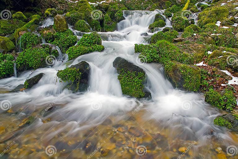 The magic river stock photo. Image of jump, wood, green - 22746194