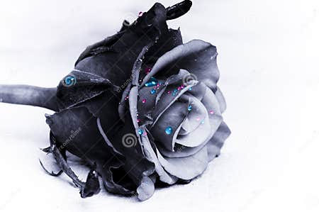 Magic rose stock photo. Image of drops, rose, witchcraft - 26828462