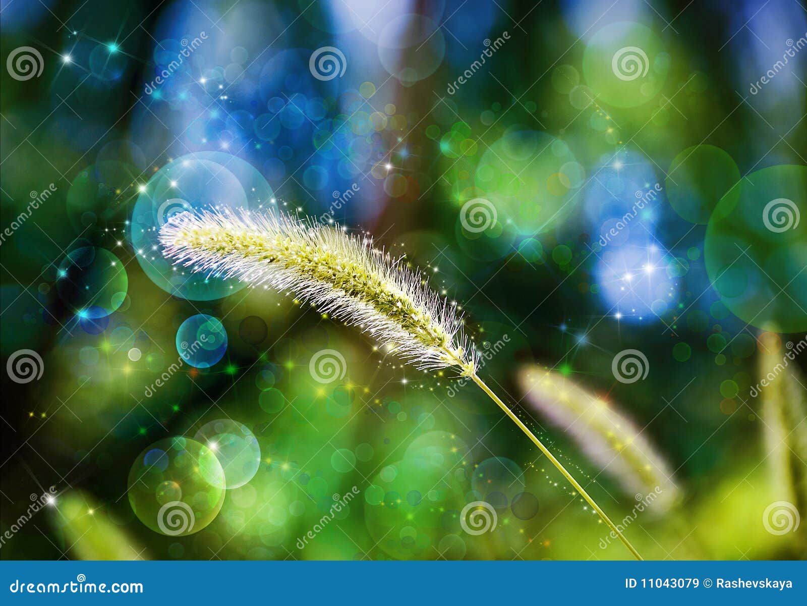 Magic sedge grass stock illustration. Illustration of outdoor - 11043079
