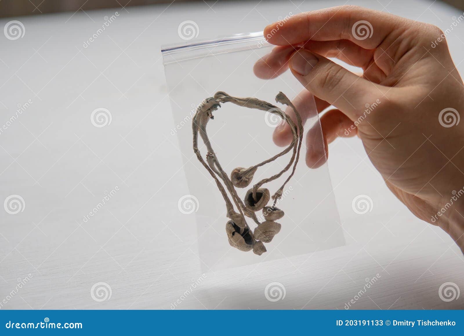 Magic Shroom . Energy Microdosing. Medicines Physical. Psychedelic ...