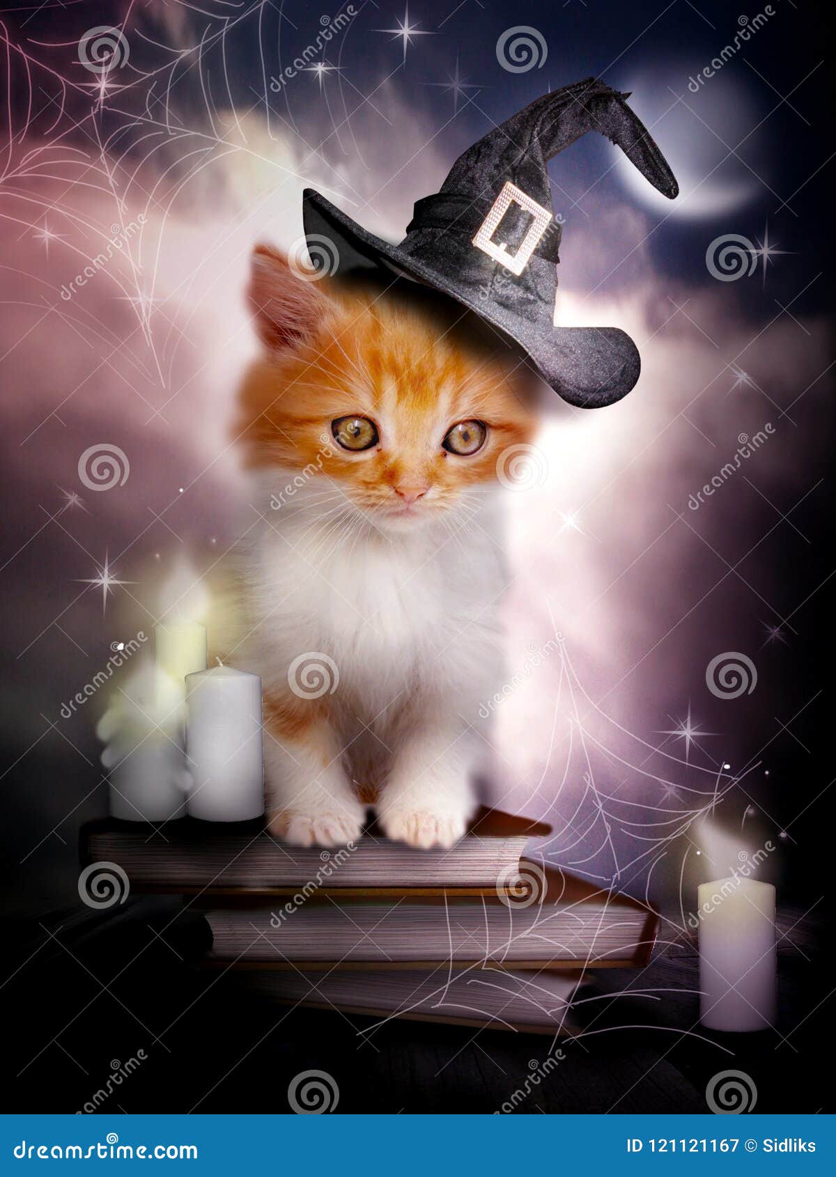 Magic small kitten stock image. Image of kitten, dark - 121121167