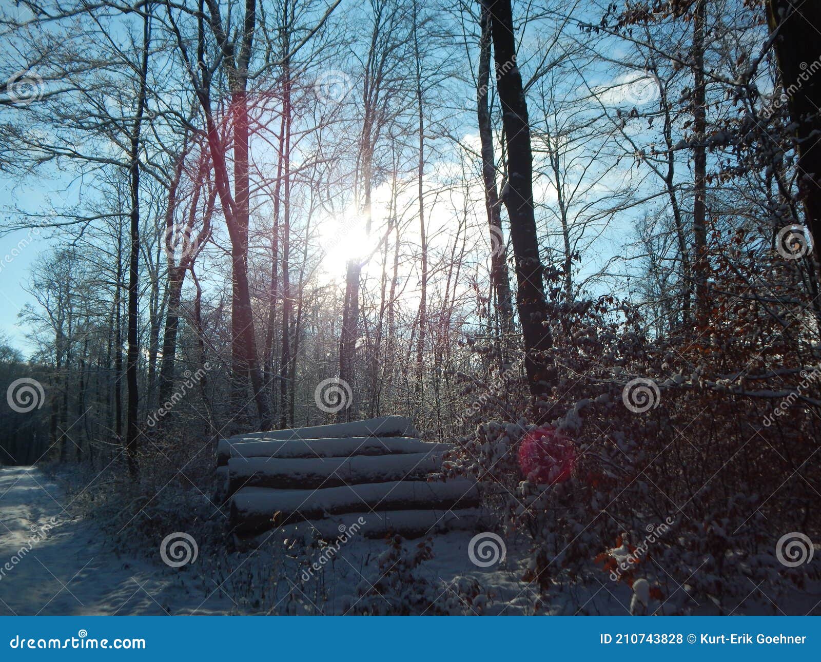 The Magic of Snow Fallen at Night Stock Photo - Image of wilderness ...