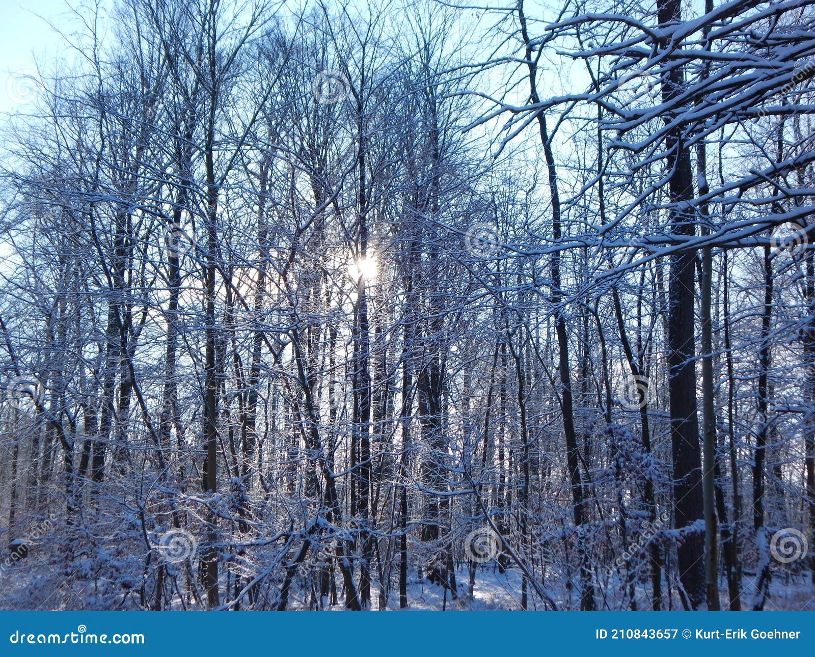 The Magic of Snow Fallen at Night Stock Image - Image of nature, snow ...