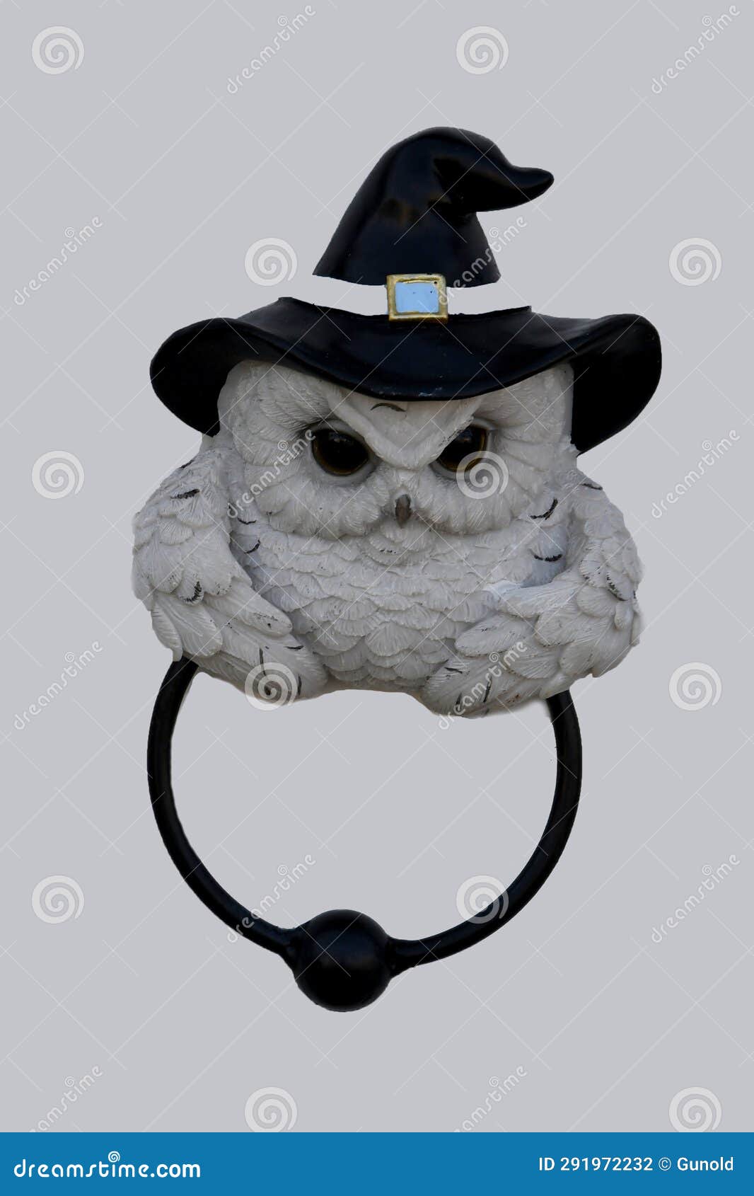 Magic Snowy Owl As Doorknocker Editorial Photography - Image of trilby ...