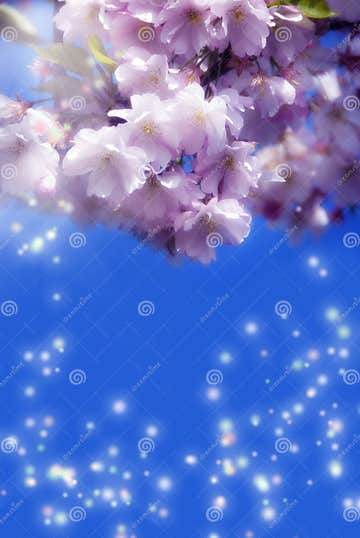 Magic spring stock image. Image of pink, blue, natural - 14039493