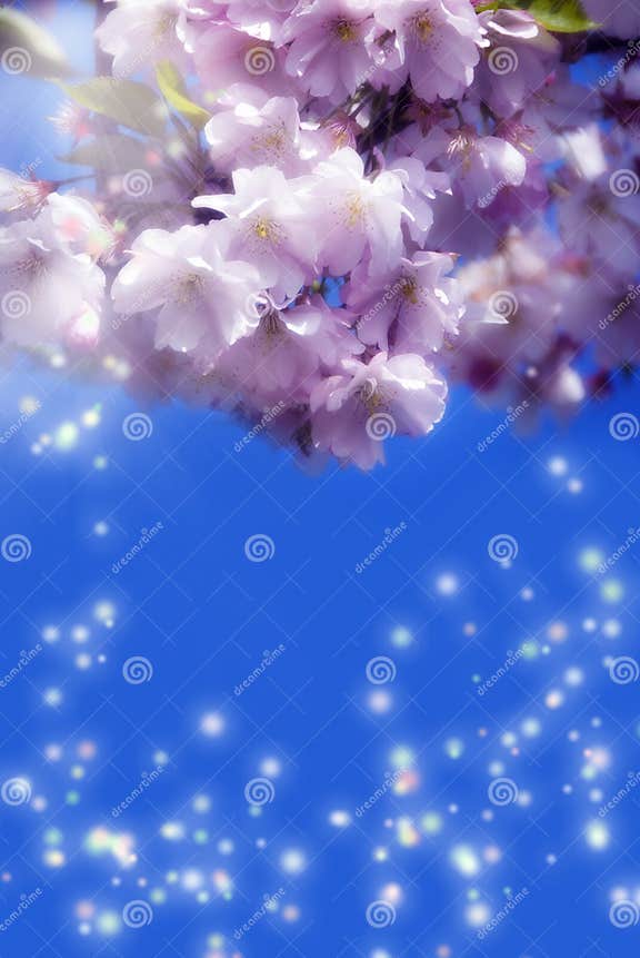 Magic spring stock image. Image of pink, blue, natural - 14039493