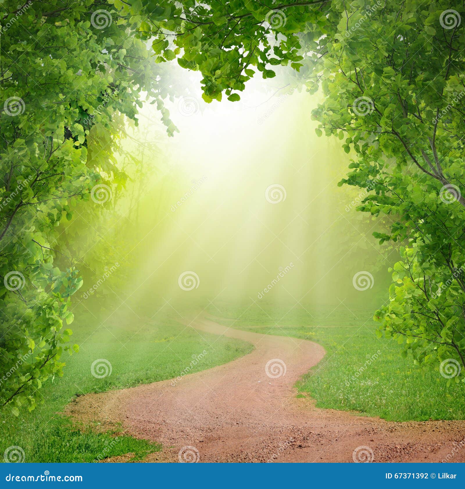 Magic spring forest stock photo. Image of landscape, dreamy - 67371392