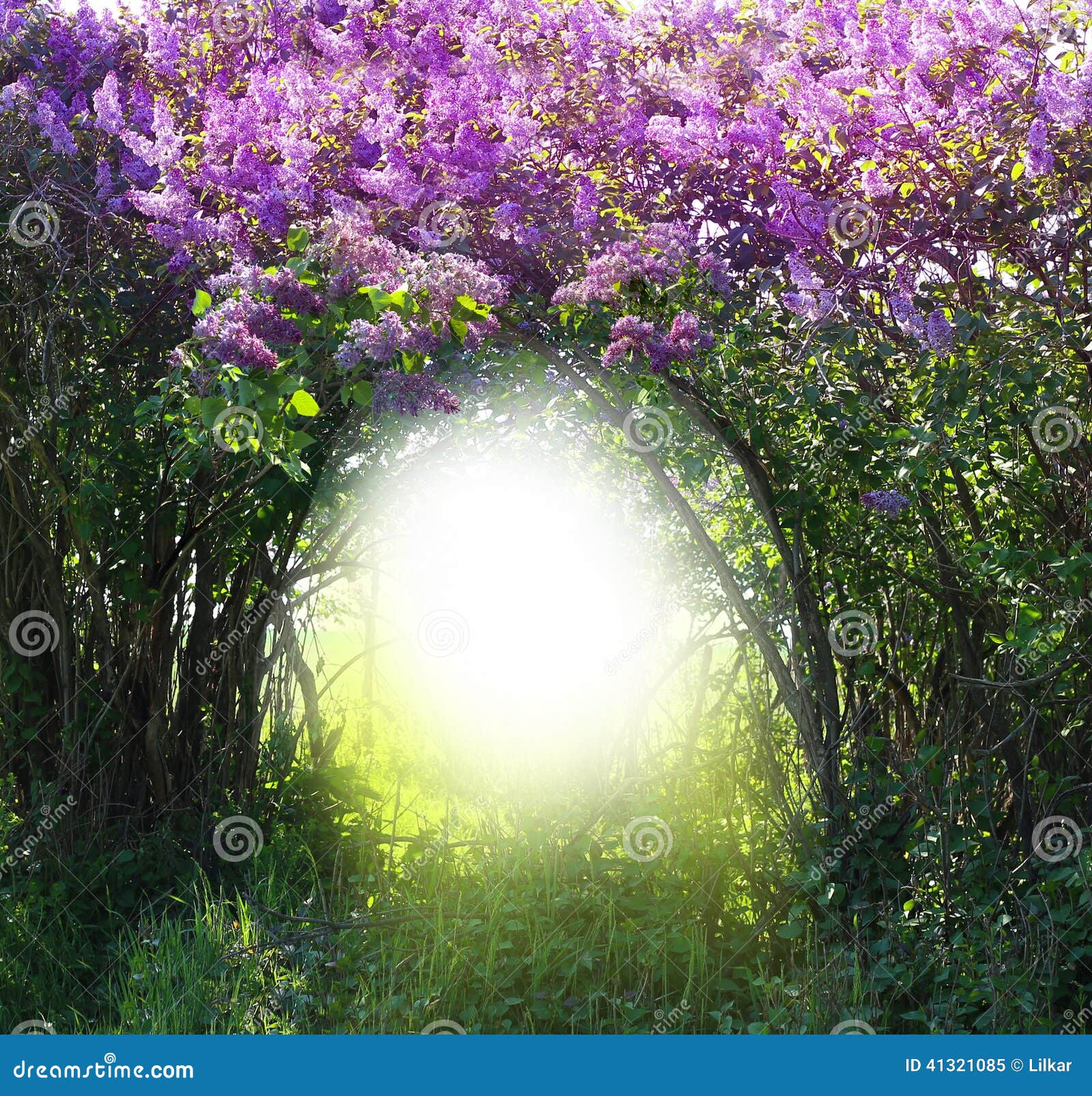 Magic Spring Forest Landscape Stock Image - Image of leaves, mystery ...