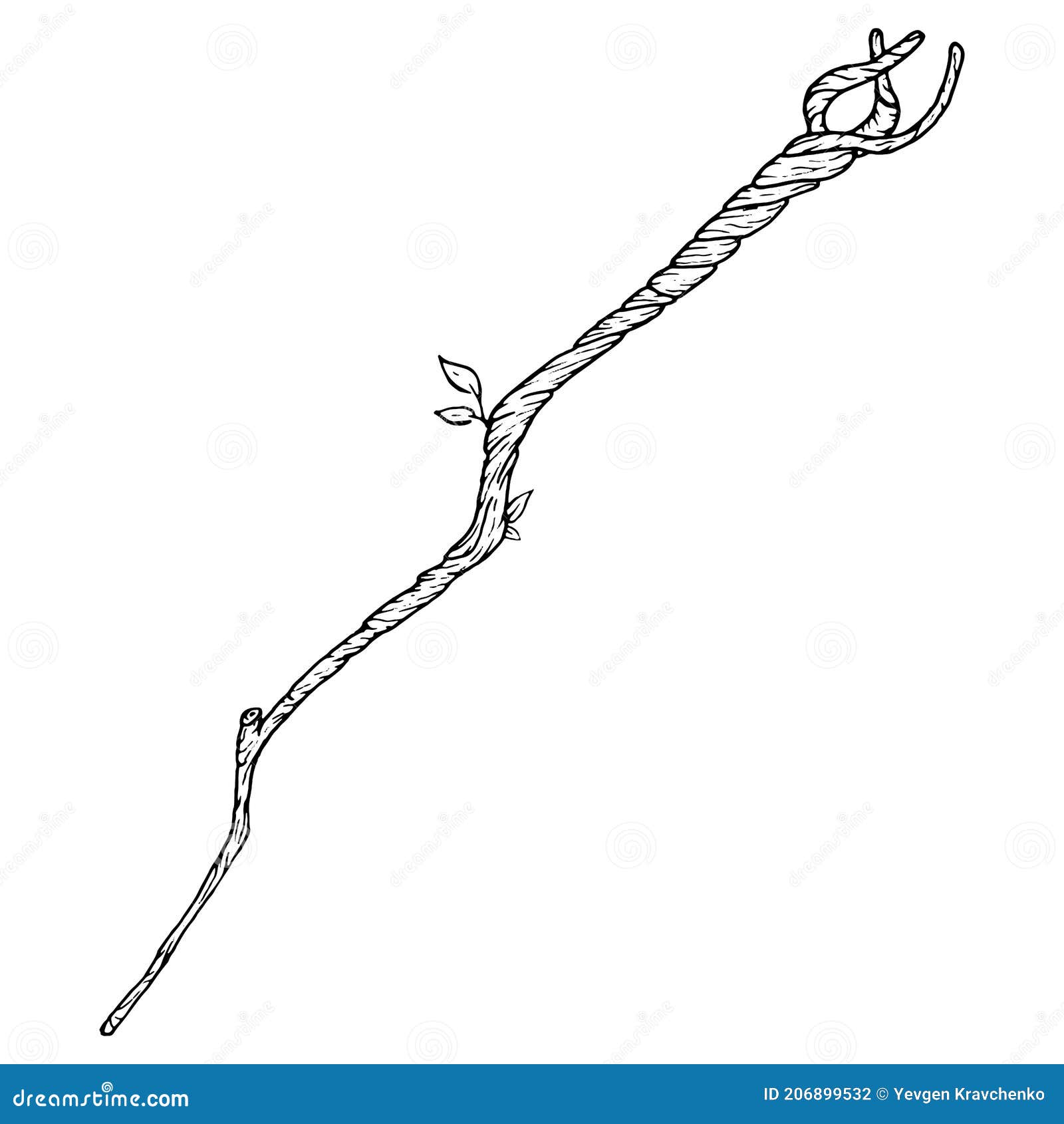 Magic Staff. Vector Wooden Cane Stock Vector - Illustration of drawing ...