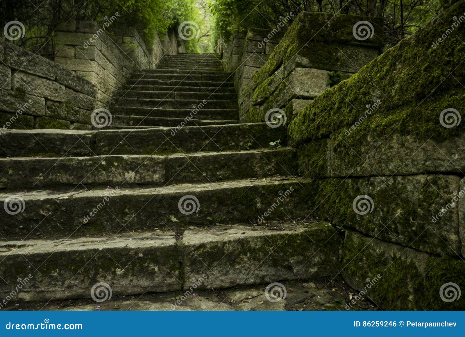 Magic steps stock photo. Image of foliage, magical, rural - 86259246