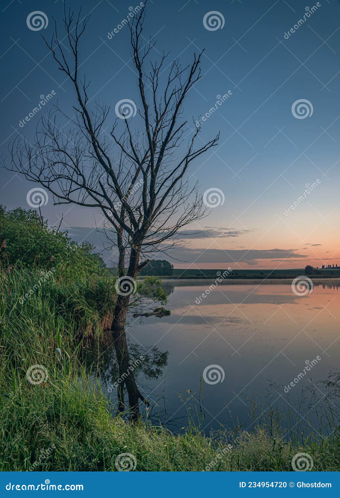 Magic sunrise stock photo. Image of nature, cloud, field - 234954720