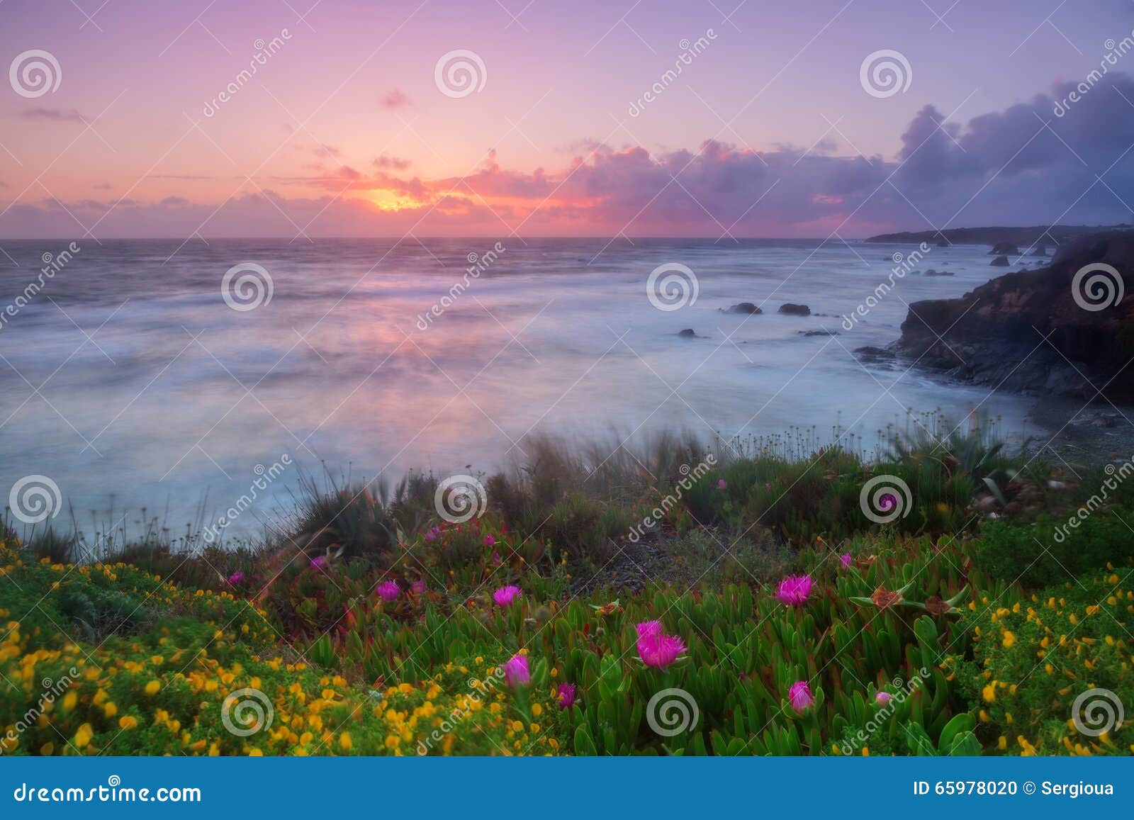 Magic Sunset on the Algarve. Stock Photo - Image of seascape, flowers ...