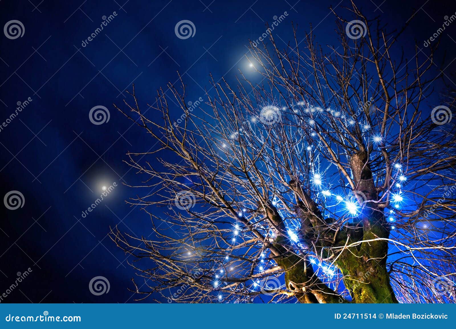 Magic tree stock photo. Image of treetop, skies, supernatural - 24711514