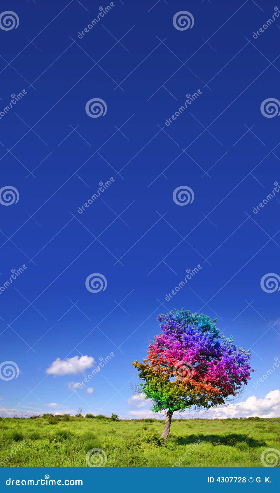 Magic Tree stock photo. Image of grow, countryside, beautiful - 4307728