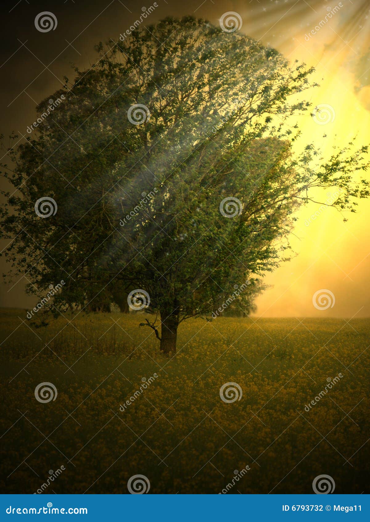 Magic tree stock photo. Image of fantastic, dream, cloud - 6793732