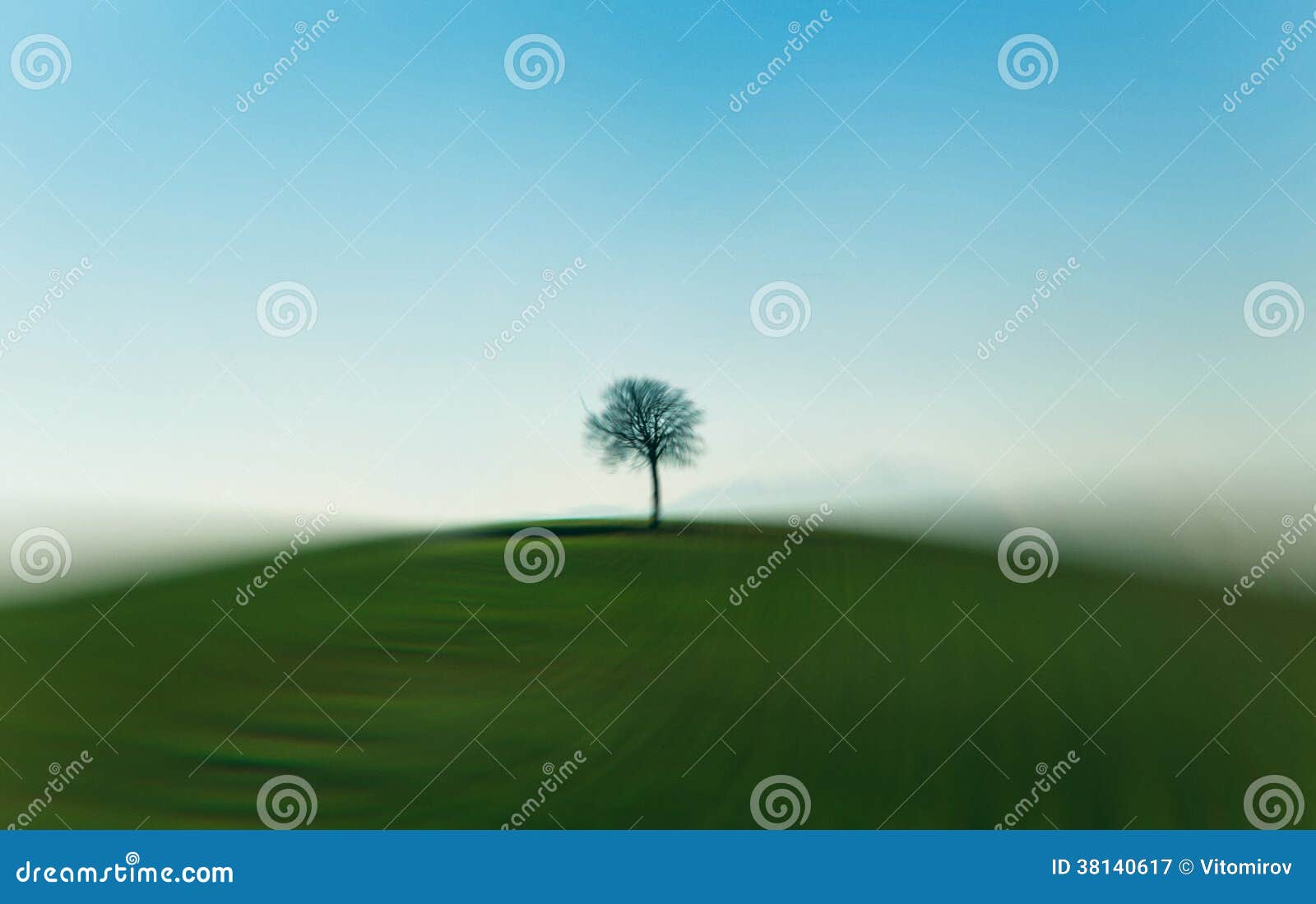 Magic tree landscape stock image. Image of field, blue - 38140617