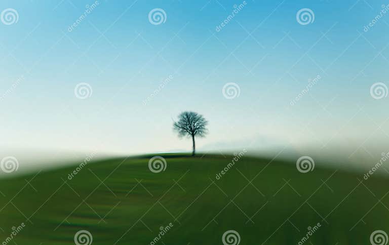 Magic tree landscape stock image. Image of field, blue - 38140617